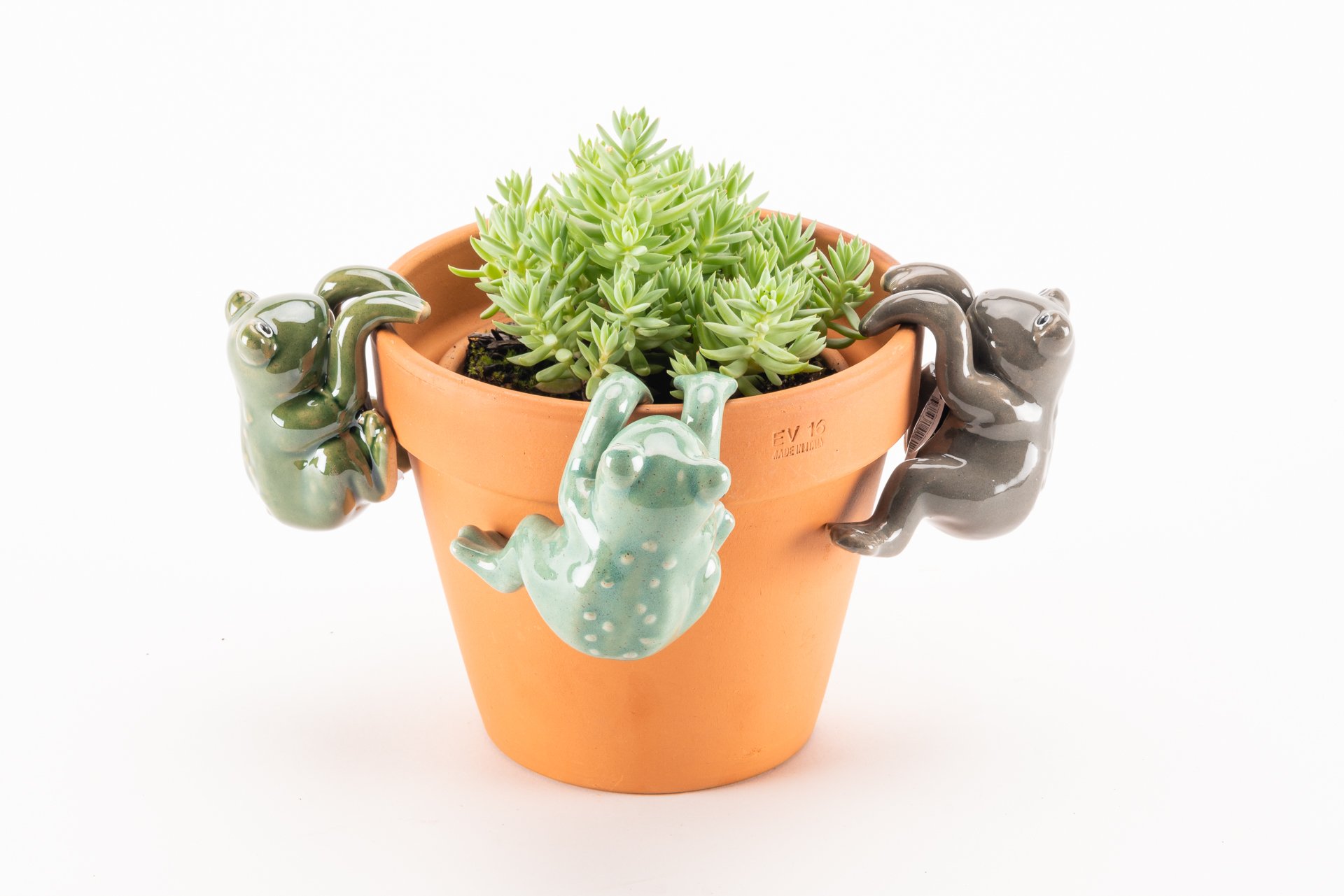 Frog Pot Sitters - Sproutwell Decor