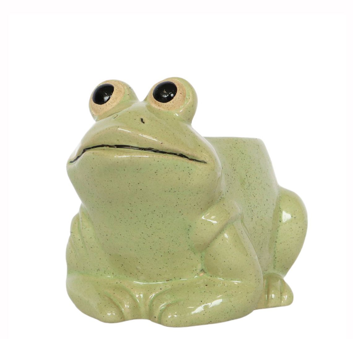 Frog Planter - Sproutwell Decor